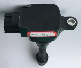 Pen Style Auto Ignition Coil 22448-6N011 / 6N015 for NISSAN Cars